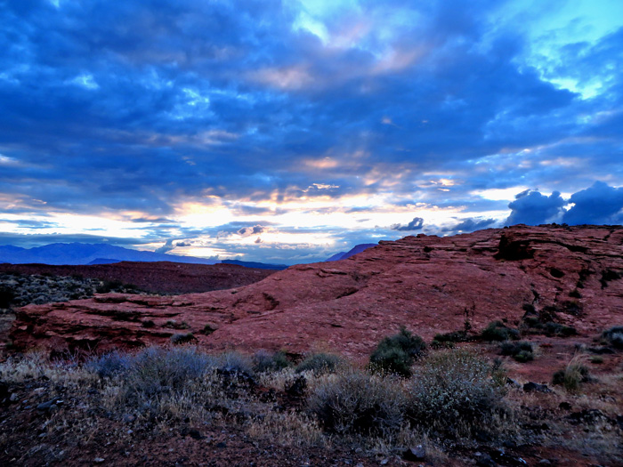 Scorpion Search, Family Fun, and Theatricals Going on For This Weekend ...